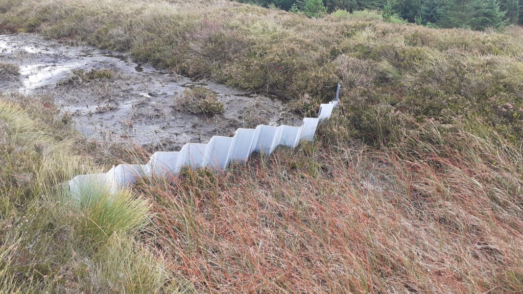 Conservation - Slieve Blooms Nature Reserve